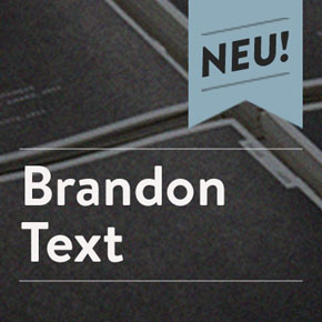 Brandon Text Font Family by Hannes von Döhren (HVD Fonts)