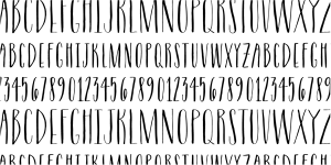 Icing Illustrated Handwriting Typeface by Great Lakes Lettering