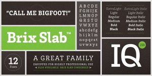 Brix Slab Type Family by HVD Fonts