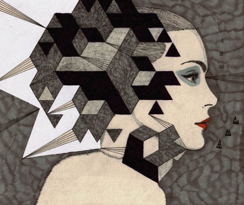 Illustrations by Anna Higgie