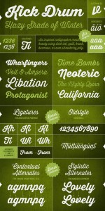 Thirsty Script - Vintage Font Family