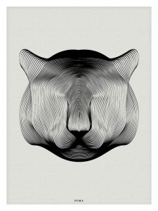 Animal Vector Illustrations by Andrea Minini