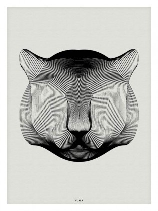 Animal Vector Illustrations by Andrea Minini