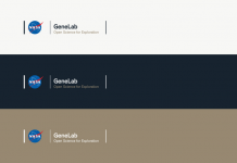Nasa GeneLab - Corporate Identity Design