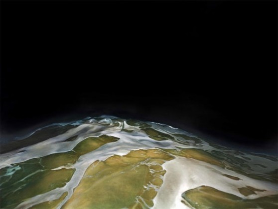 Swim: An Artist's Journey by Charles Williams