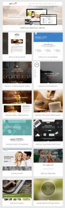 Enfold - WordPress Theme for Multi-Purpose