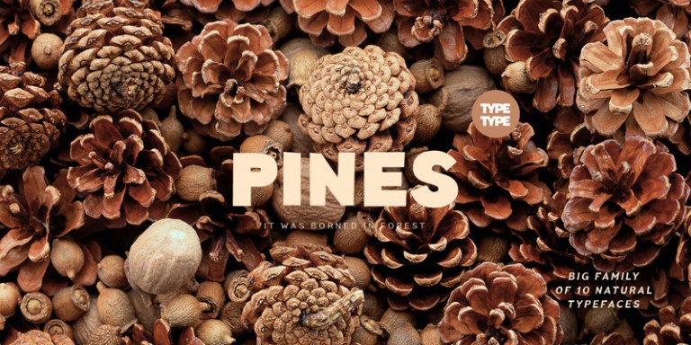 TT Pines Font Family from TypeType