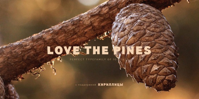 TT Pines Font Family from TypeType