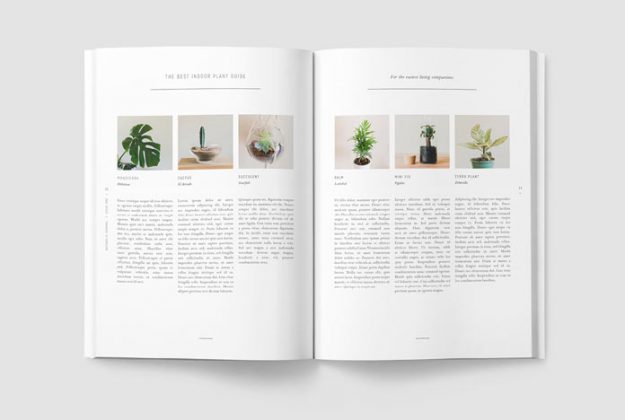 Adobe InDesign Template for Lookbooks and Magazines