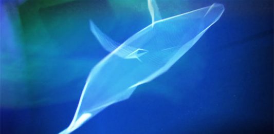 stop frame animation Archives – WE AND THE COLOR