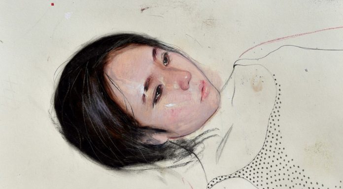 Artist Daniel Segrove