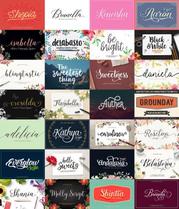 Huge Font Bundle from Seniors Studio