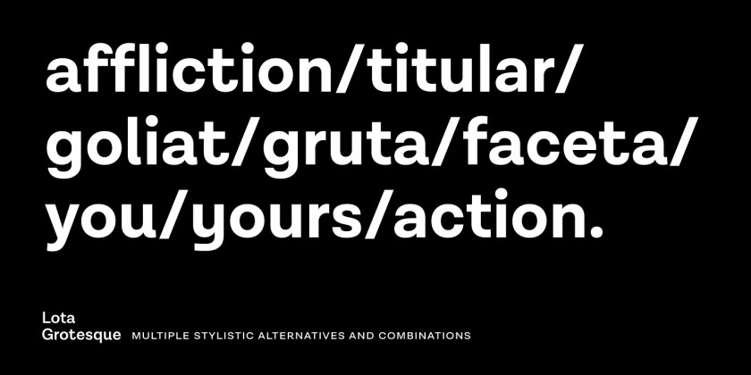 Lota Grotesque Font Family