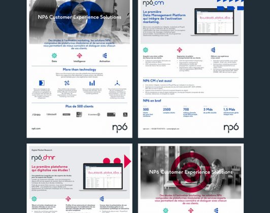 NP6 – Graphic Design and Branding by Brand Brothers