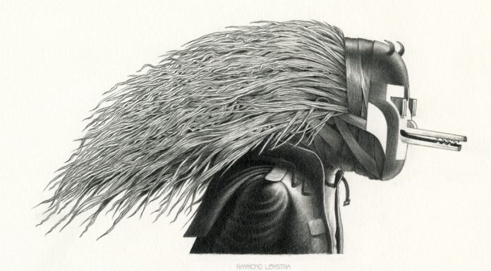 Artist Feature: Raymond Lemstra