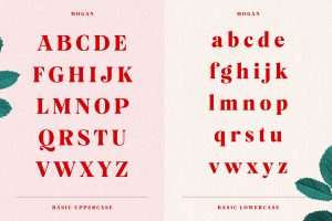 Mogan Font by Tobias Saul