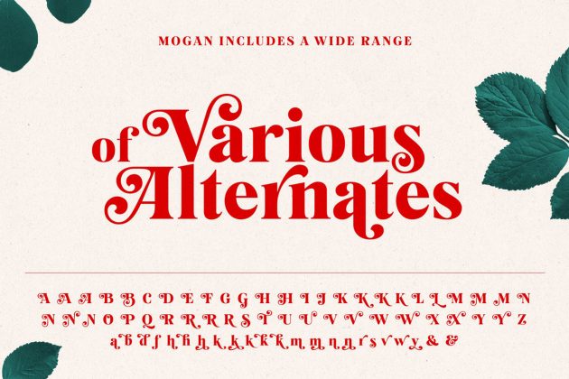 Mogan Font by Tobias Saul
