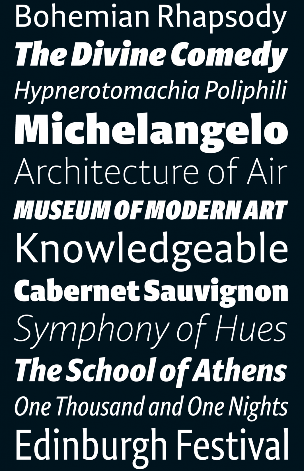 Niko Font Family from Ludwig Type