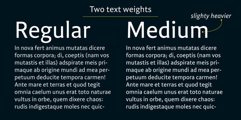 Niko Font Family from Ludwig Type