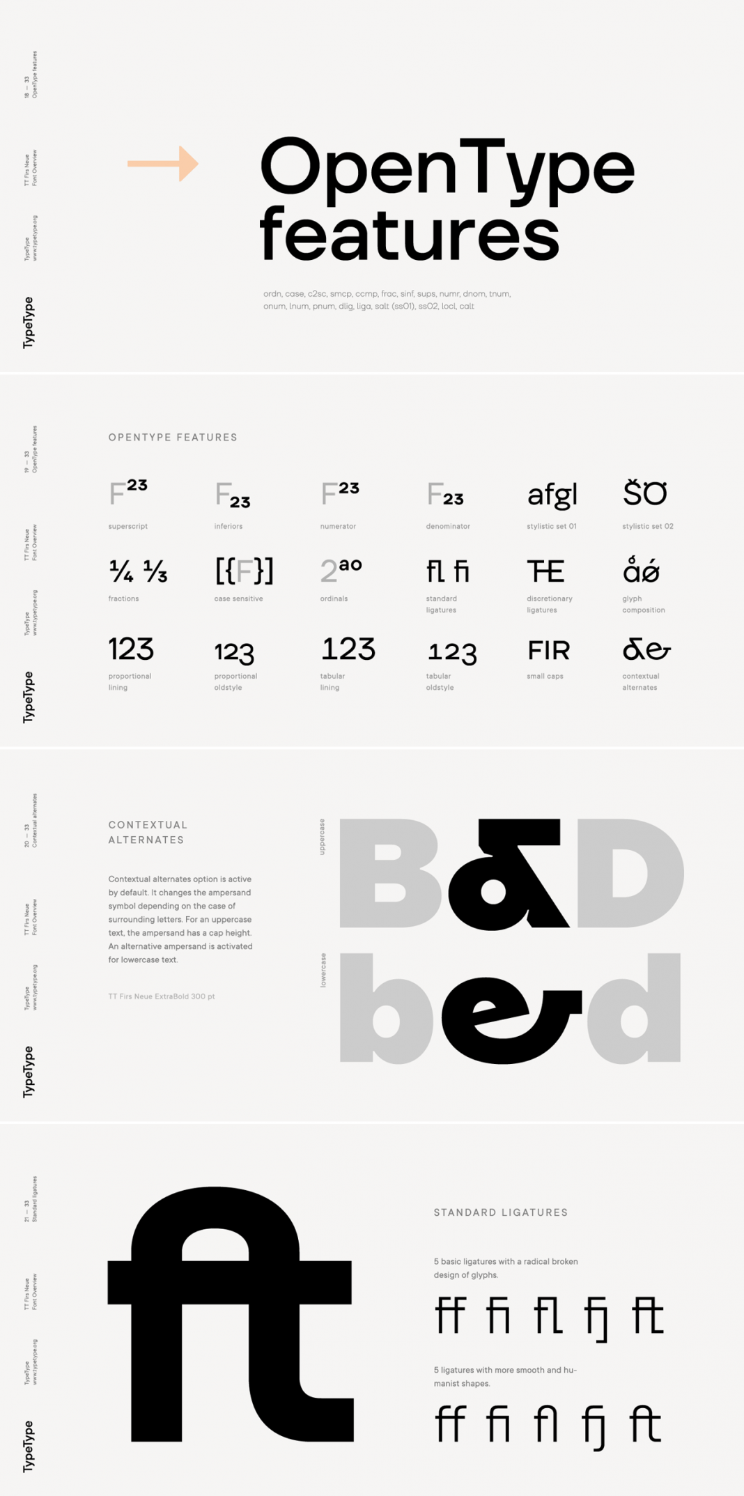 TT Firs Neue Font Family by TypeType