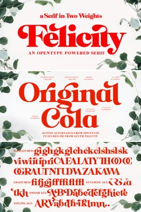 Felicity Serif Font from Fenotype