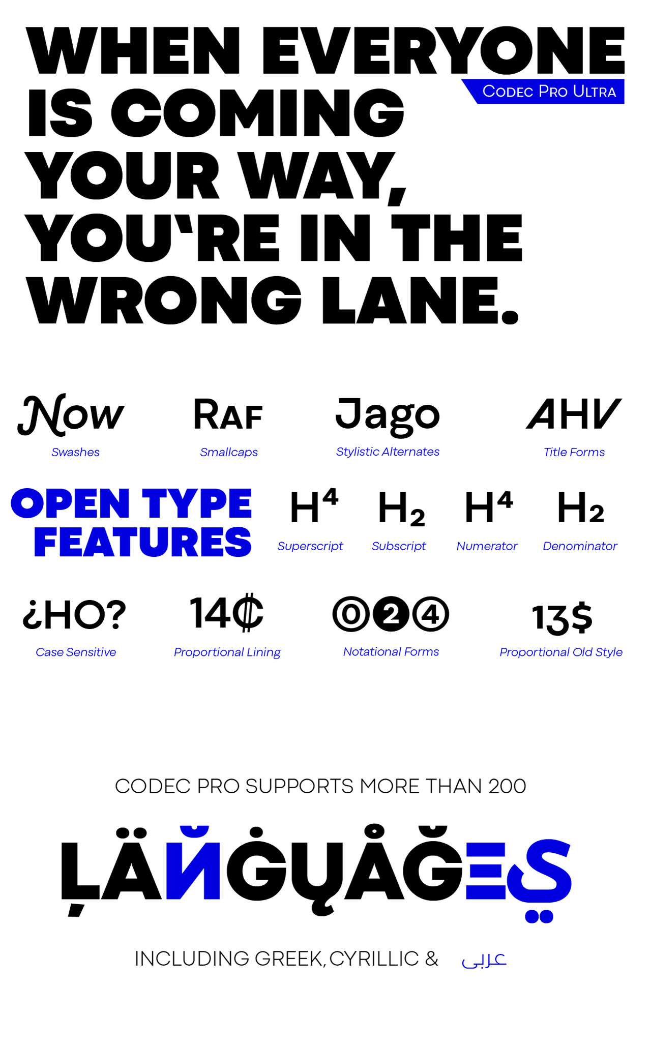 Codec Pro font family by Zetafonts.