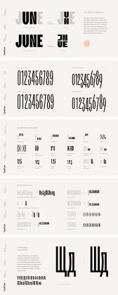 TT Trailers Font Family by TypeType