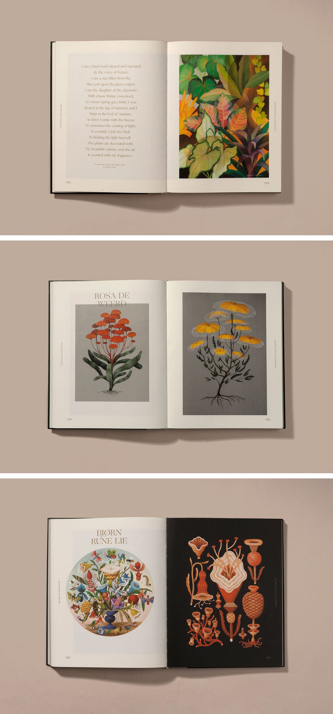 Botanical Inspiration: Nature in Art and Illustration