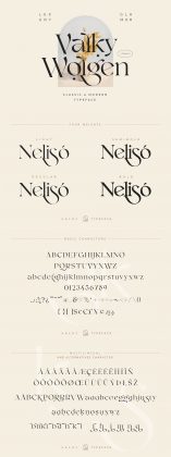 Valky Font by NEWFLIX.Bro