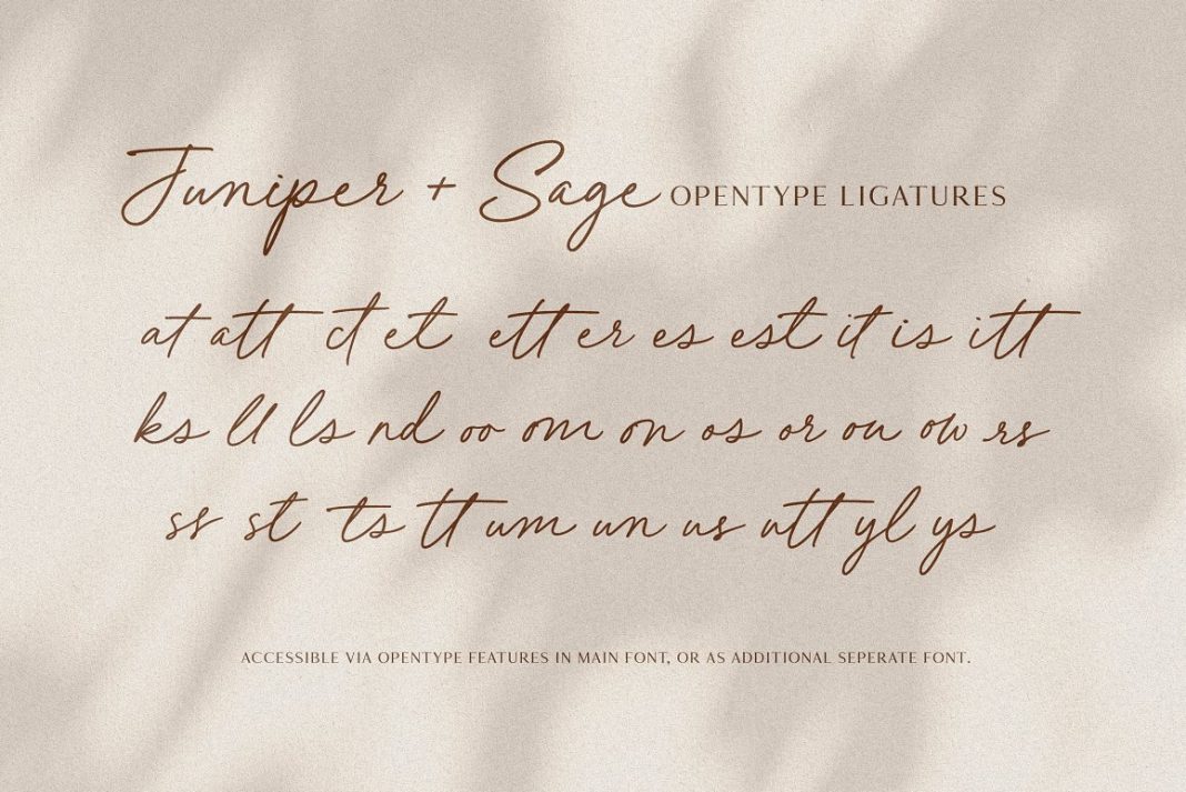 Juniper and Sage Script Font by Nicky Laatz