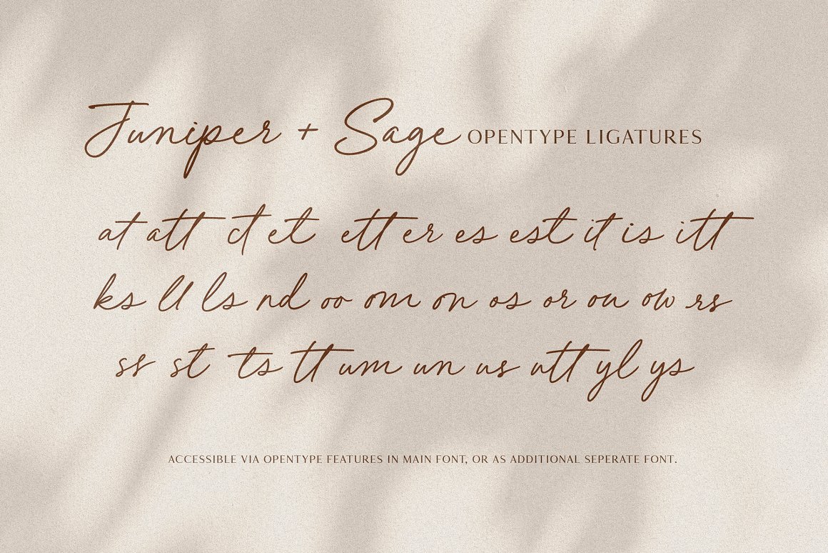 Juniper and Sage Script Font by Nicky Laatz