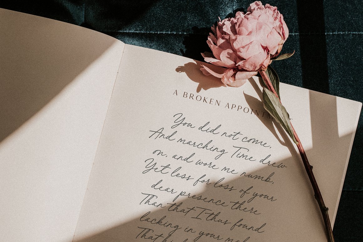 Juniper and Sage Script Font by Nicky Laatz