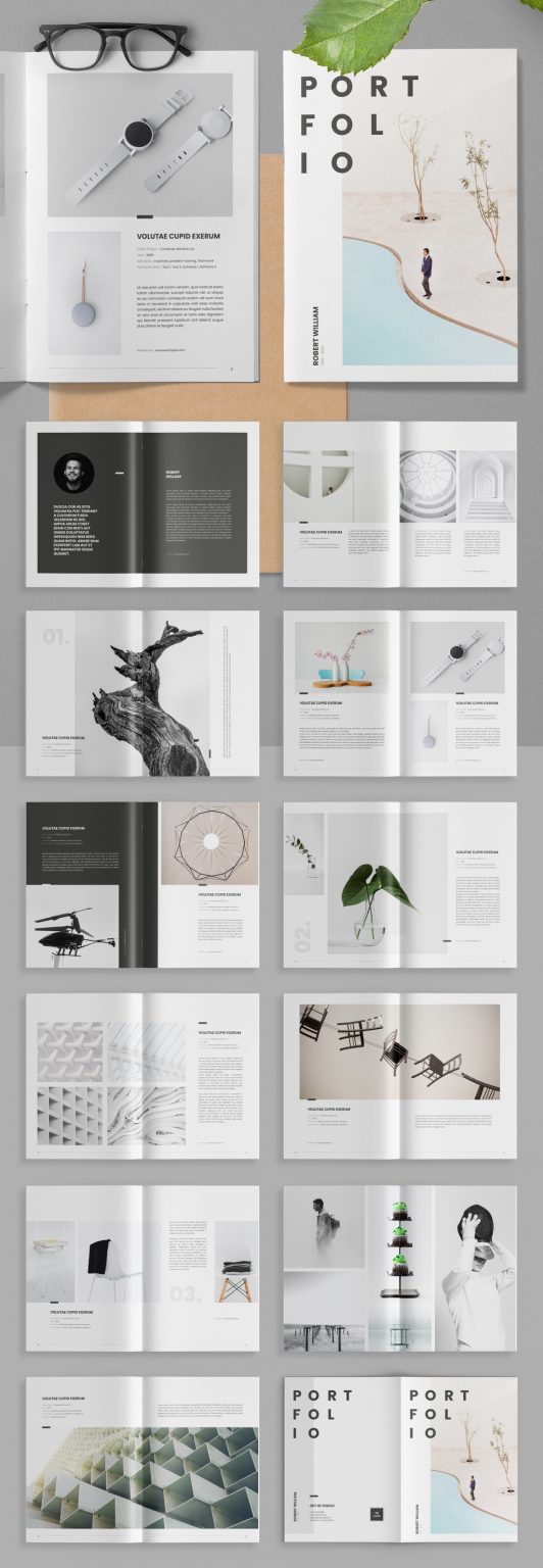 Portfolio Adobe InDesign Template