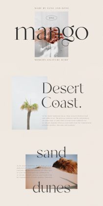 Mango Serif Font Family by Sans & Sons