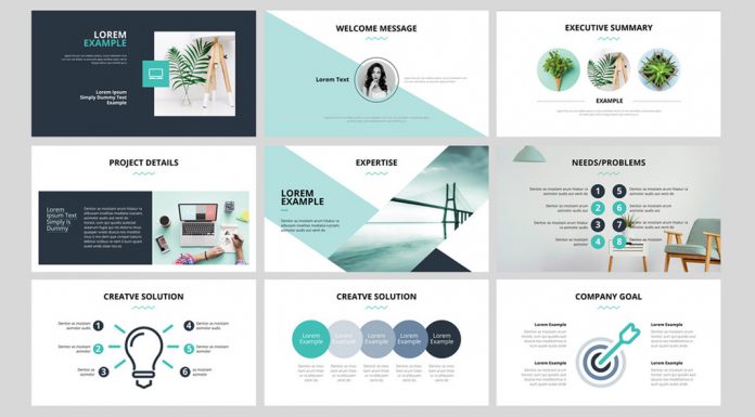 Business Presentation InDesign Template