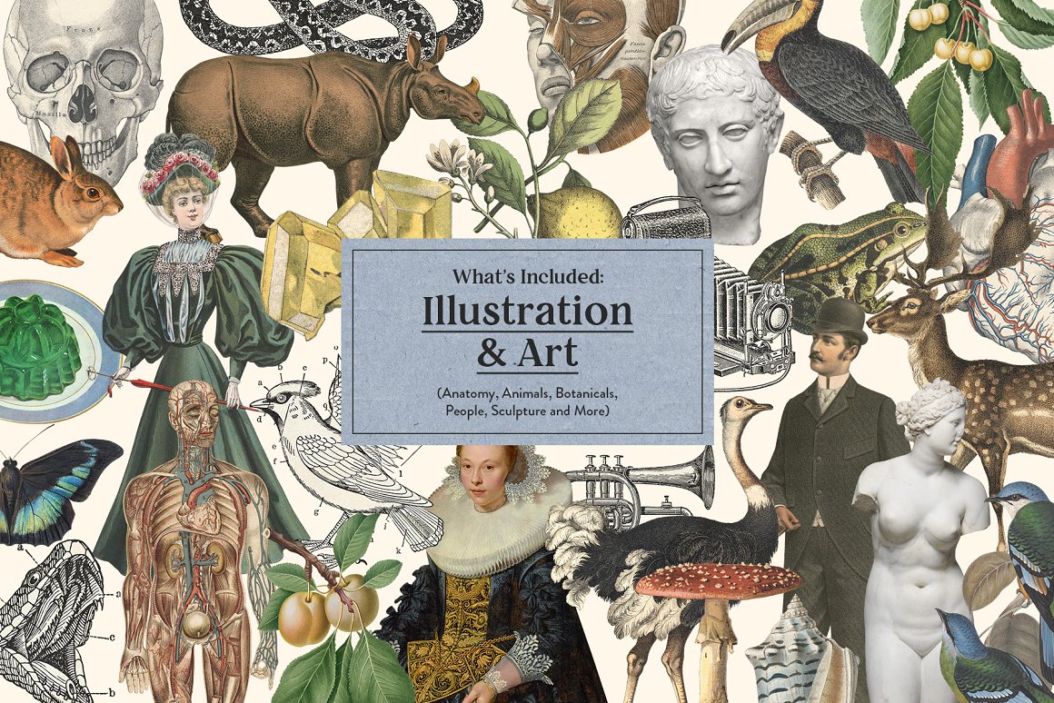 Vintage Collage Creator for Adobe Photoshop