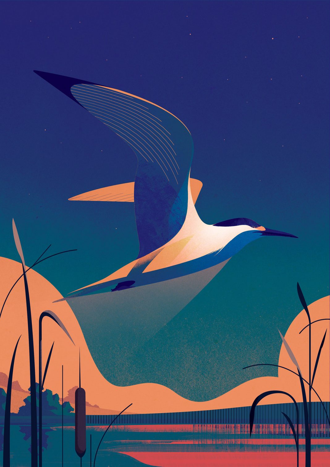 Animal Studies by Charlie Davis