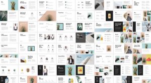 Top 5 Best PowerPoint Presentation Templates