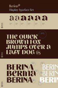 Berina Font Family by Hurufatfont