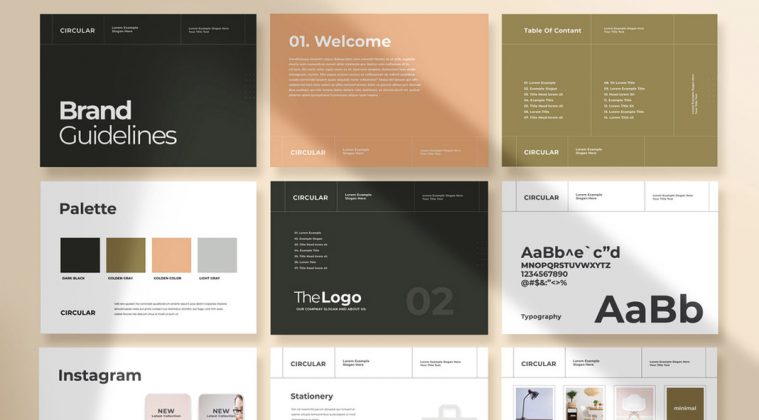 Download this Brand Guidelines Identity Brochure as Adobe InDesign Template