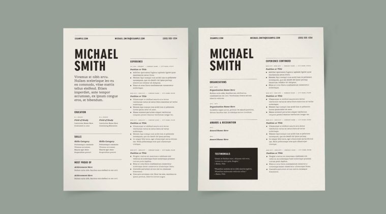 Two Column Resume Template Kit