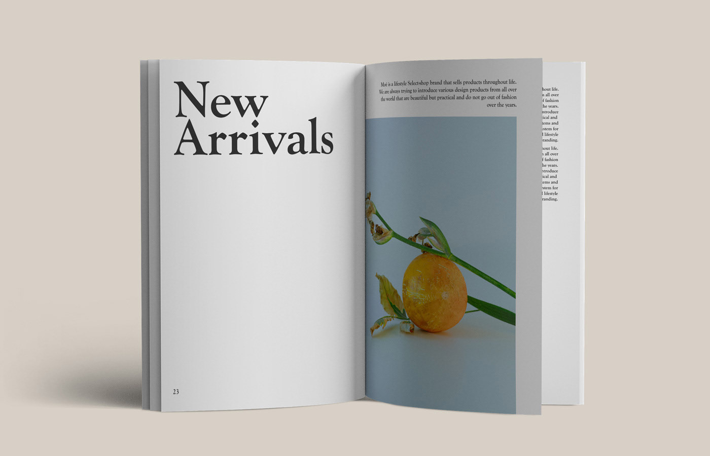 Moé Shop Branding by studio le_m