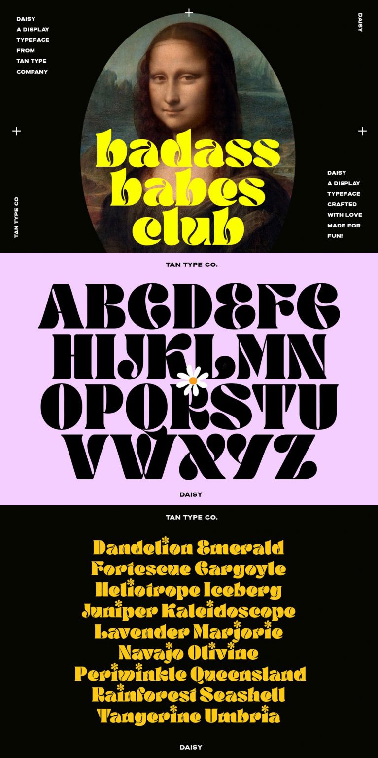 TAN DAISY Font by TanType