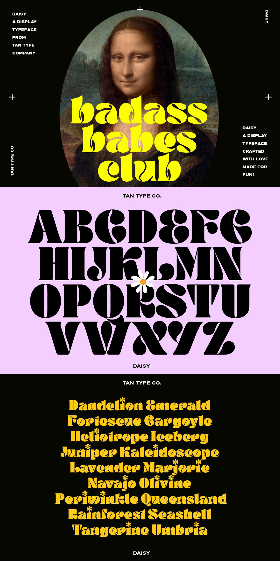 TAN DAISY Font by TanType