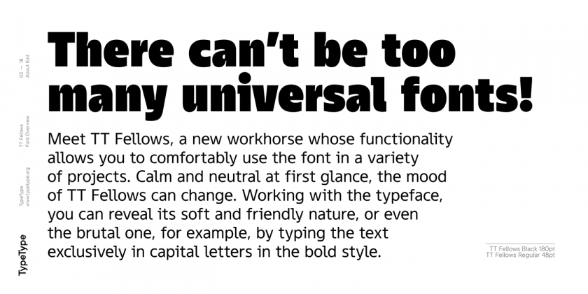 TT Fellows Font Family by TypeType