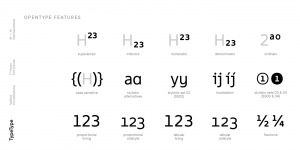 TT Fellows Font Family by TypeType