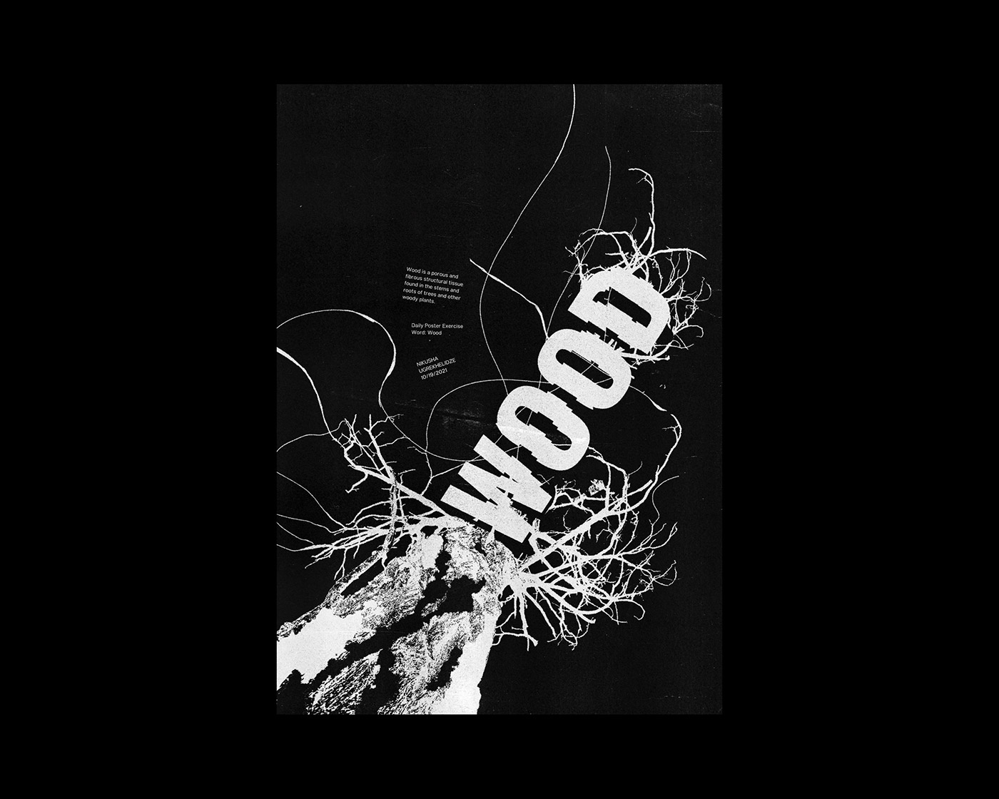 Poster Designs by Nick Ugre