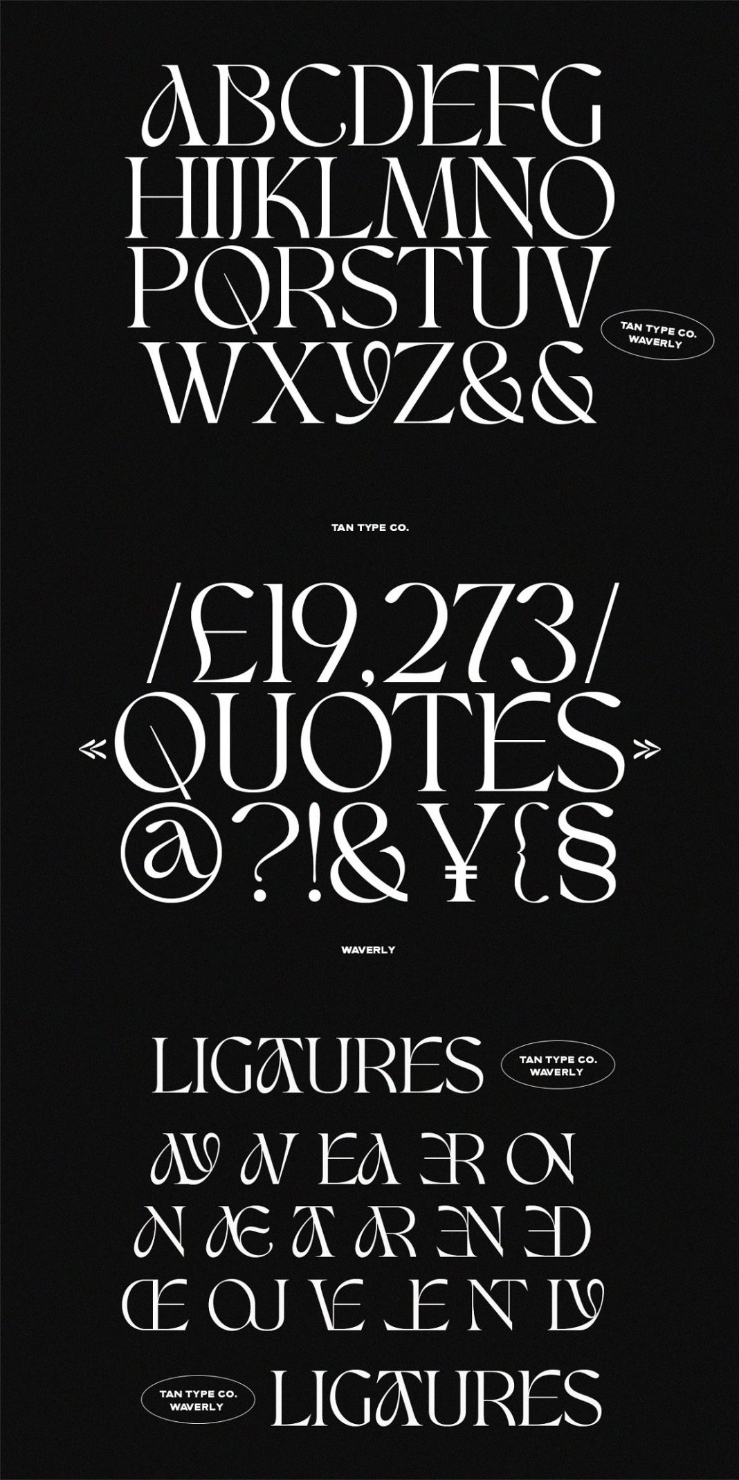 TAN WAVERLY Font by TanType