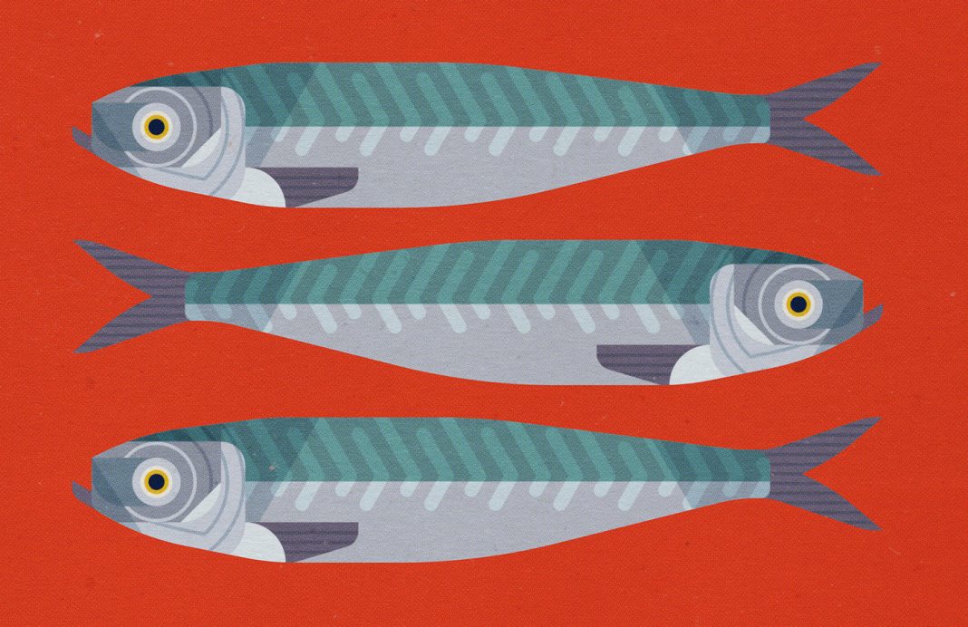 Neptune Fish: Fictional Branding by Bart De Keyzer