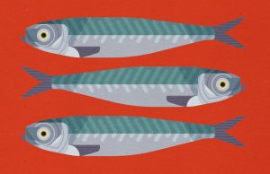 Neptune Fish: Fictional Branding by Bart De Keyzer